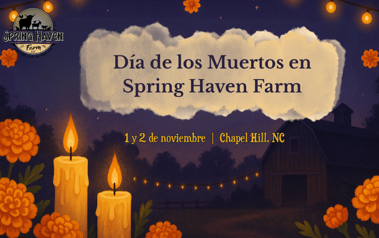 Día de Muertos en Spring Haven Farm Tickets | Spring Haven Farm