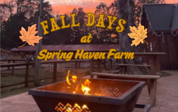Fall Days At Spring Haven Farm Tickets | Spring Haven Farm