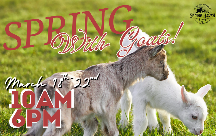 Spring With Goats - Archived Tickets | Spring Haven Farm