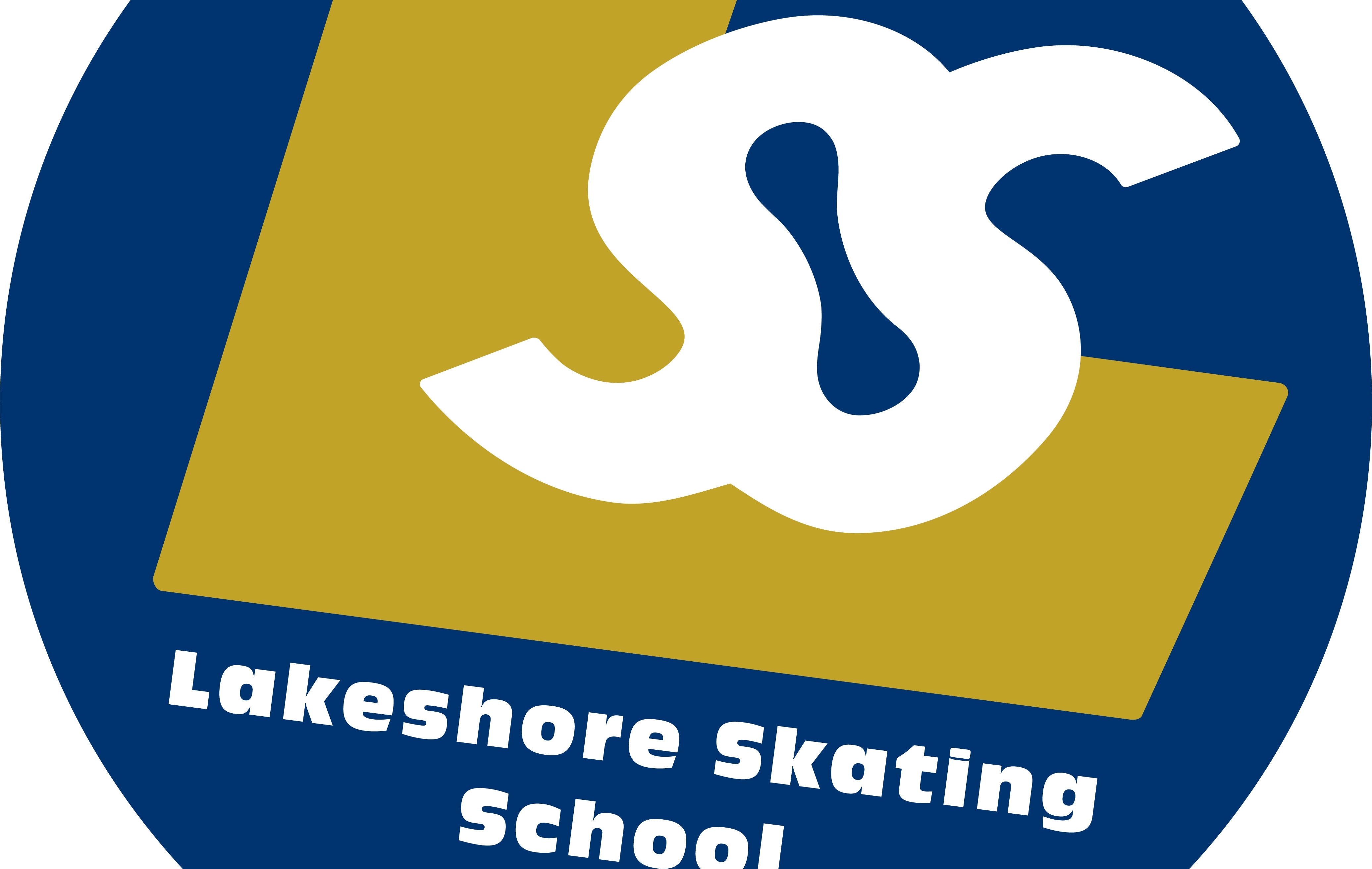 Introduction to Future Stars Beginner Hockey Tickets | Lakeshore Hockey ...