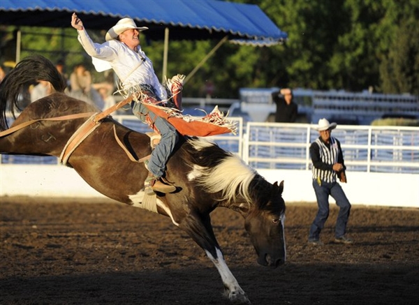 Friday Night Rodeo