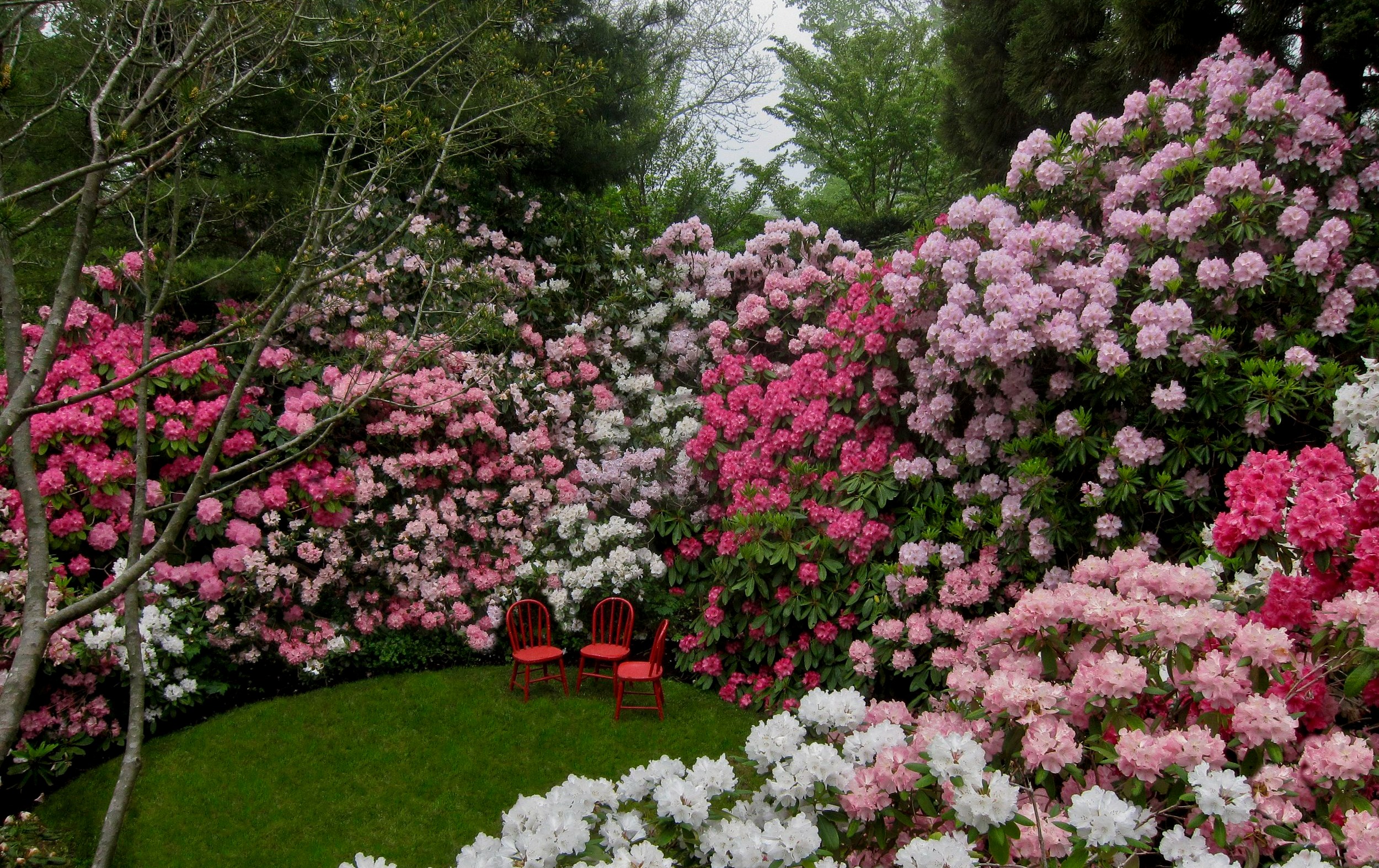 MEMBERS ONLY: Sakonnet Garden Tour Tickets | Rhode Island Historical ...