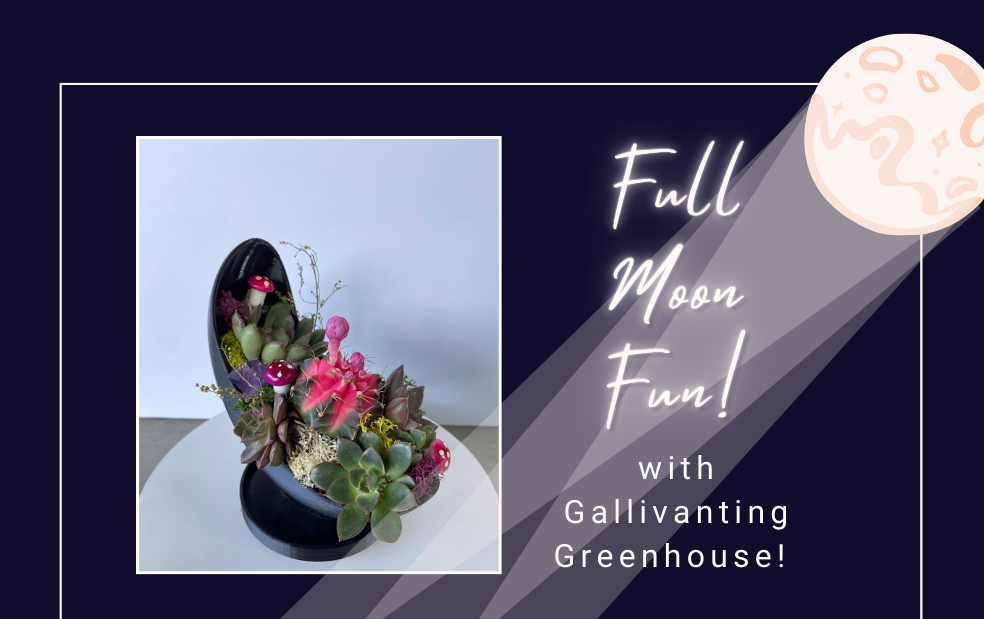 Full Moon Fun - Planter Tickets | Soul Sisters' Studio