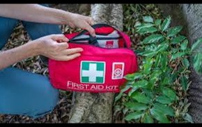 WIRES Wildlife and Critical Care Course Tickets | Fauna Rescue SA