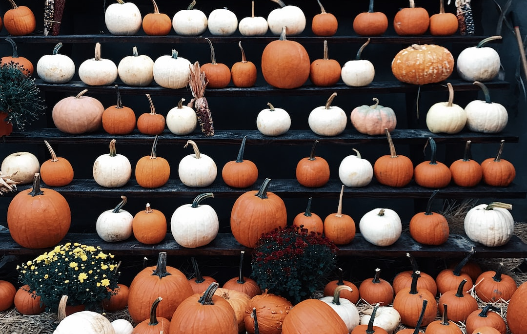 Single-day Tickets | Peebles Farm