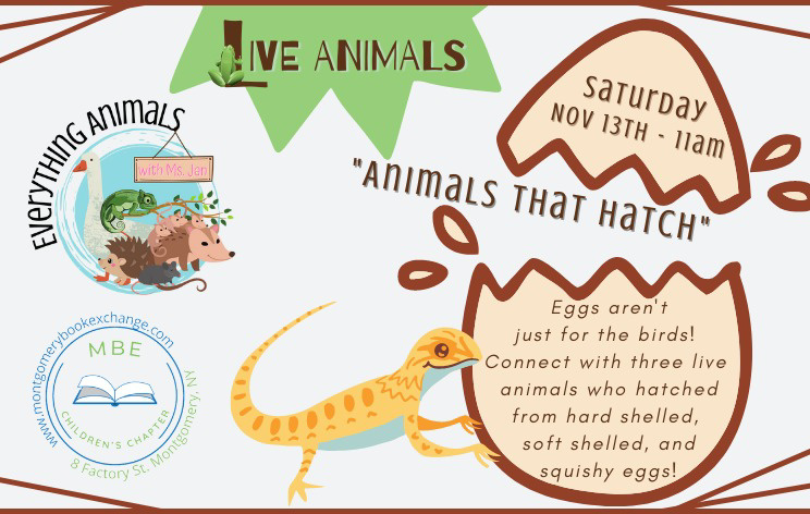 "Animals That Hatch" - Live Animals!