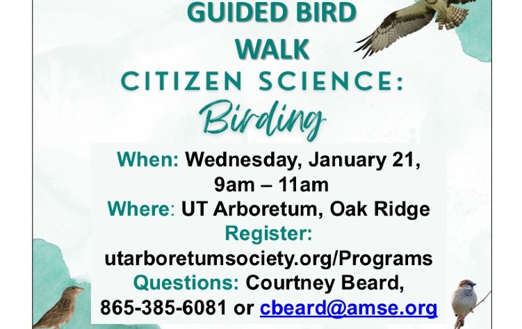 January 21st, Guided Bird Walk - Citizen Science Birding Program with ...