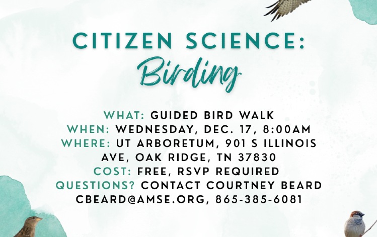 December Guided Bird Walk - Citizen Science Birding Program with AMSE ...