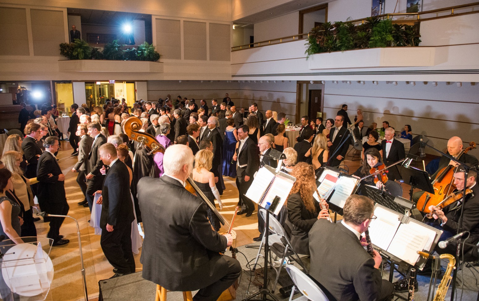 Austrian Embassy Viennese Ball: A Night in Vienna and Magnificent ...