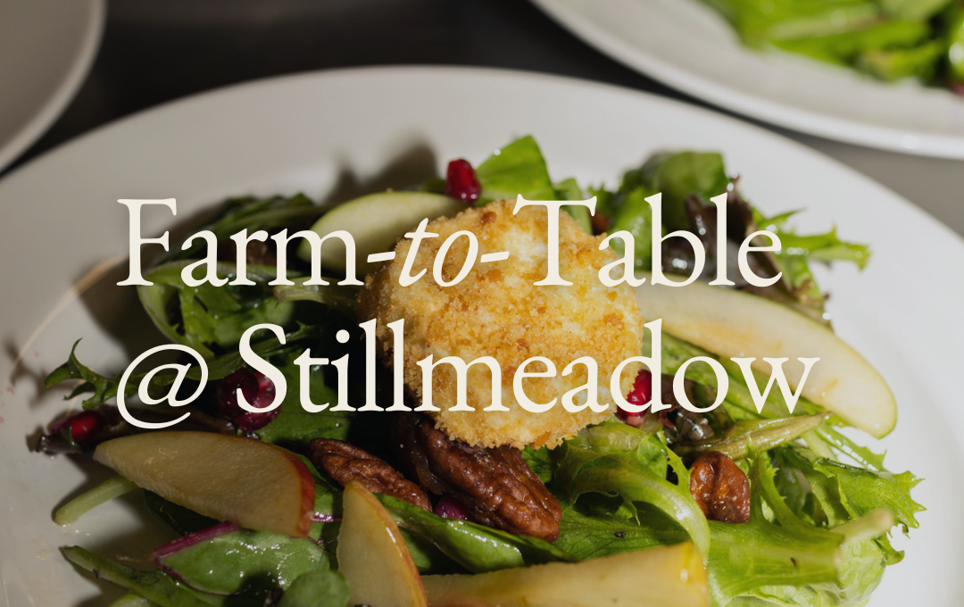 Farm to Table Dinner - October Tickets | Stillmeadow