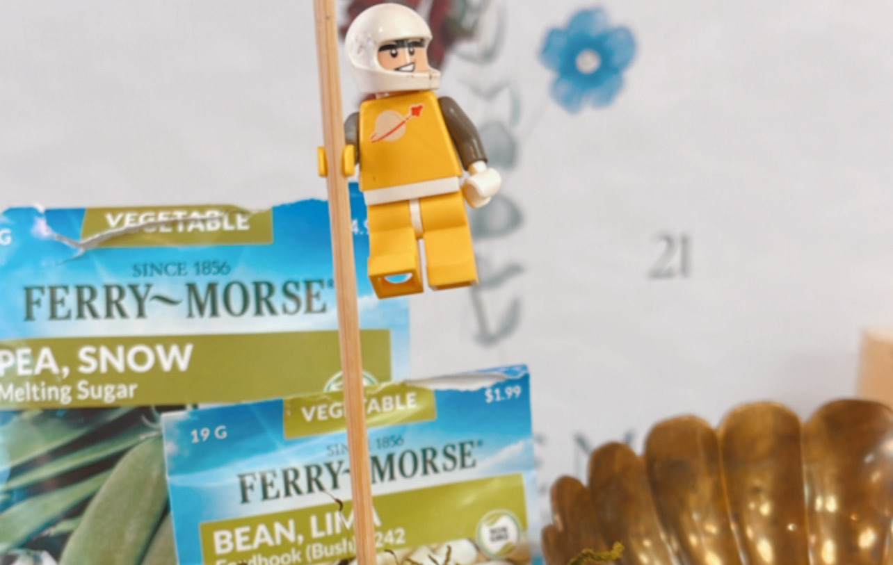 Lego Bean Sprout Experiment! Tickets | Mae and the Moon