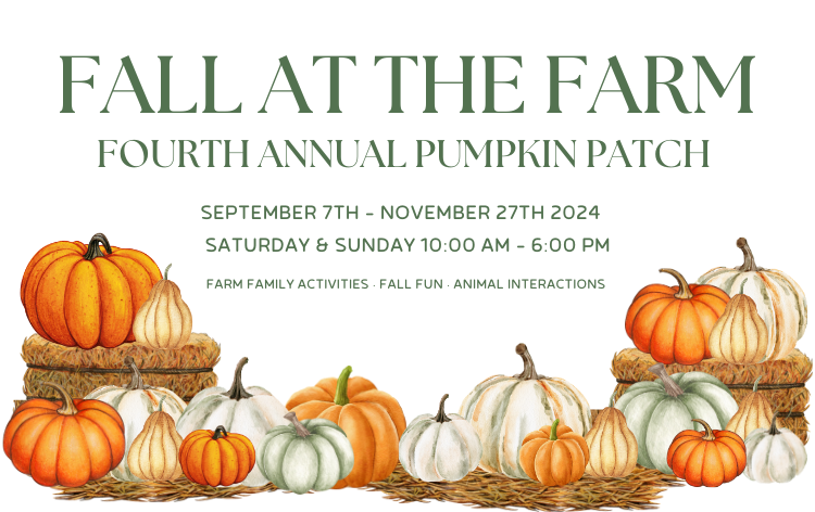 Fall at the Farm - Weekends - Archived Tickets | Tinez Farms