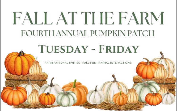 Fall at the Farm - Tuesday to Friday Tickets | Tinez Farms