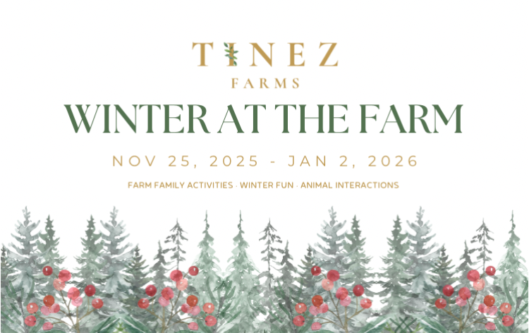 Saturday + Sunday - Winter at the Farm - 2025 Tickets | Tinez Farms