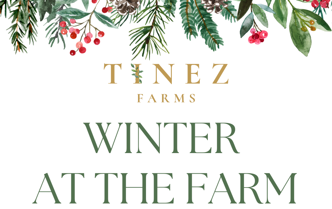 Winter at the Farm - Weekdays 2024 Tickets | Tinez Farms