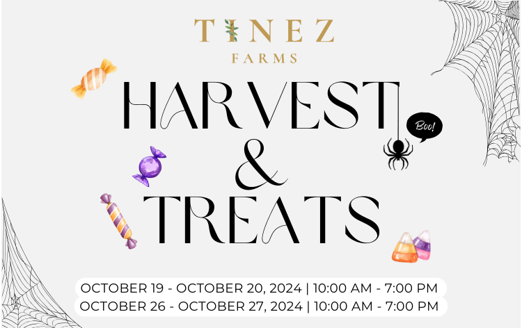 Harvest & Treats 2024 Tickets | Tinez Farms