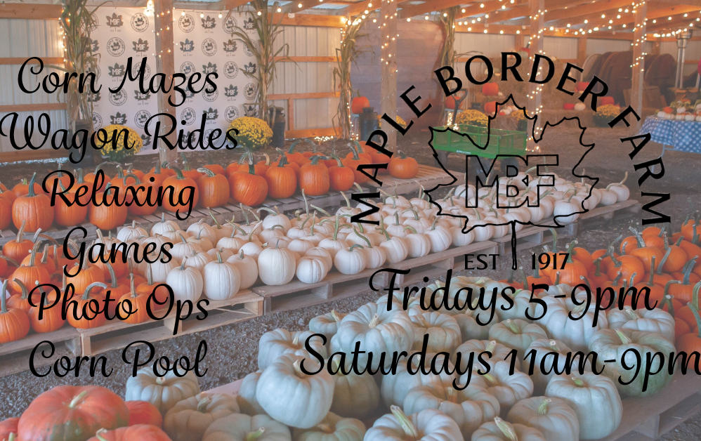 Maple Border Farm's Corn Maze Tickets | Maple Border Events LLC