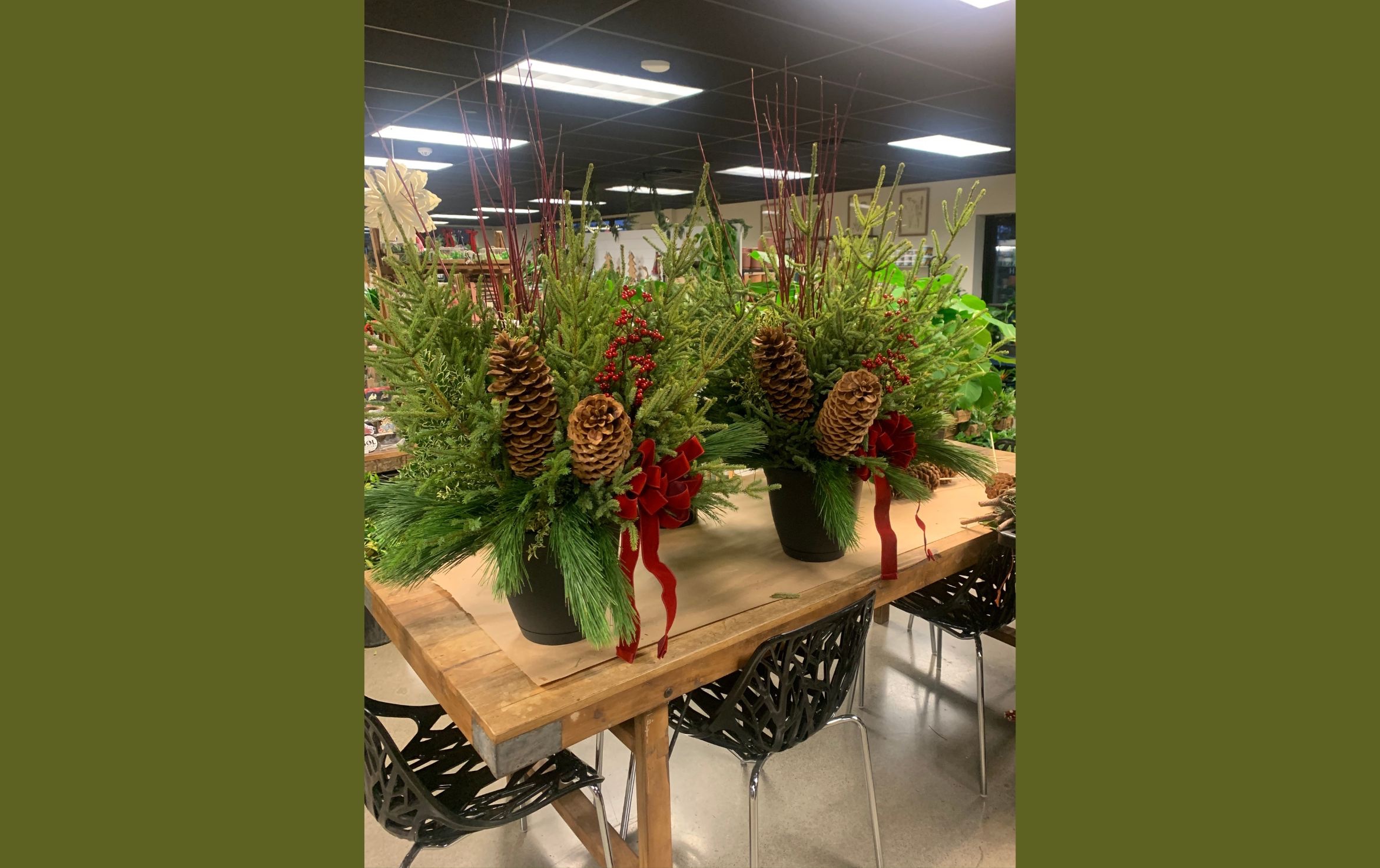 Spruce Top Pot Workshop Tickets | The Plant Hatch
