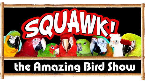 SQUAWK! the Amazing Bird Show