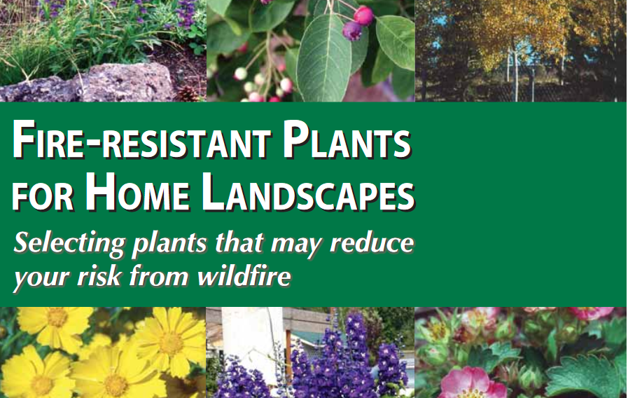 Landscaping for Fire Prevention Tickets | University of Idaho Extension ...