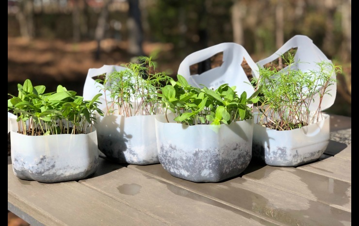 Winter Sowing Hands-on Workshop Tickets | University of Idaho Extension ...