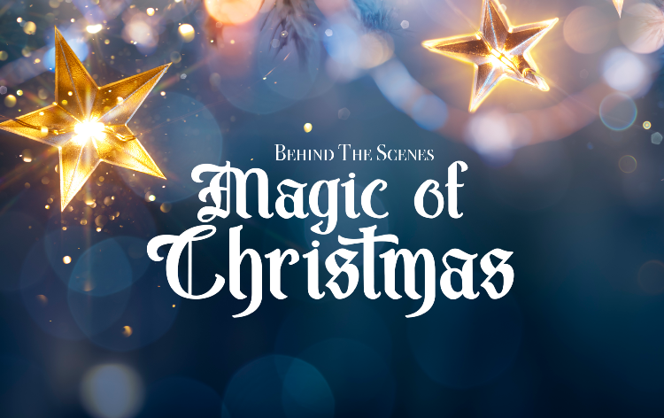 Behind The Scenes: Magic of Christmas Tickets | 1D Studios