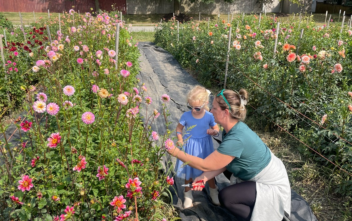 Bloomery Buds: Preschool - Bulb Planting and Flower Painting! Tickets ...