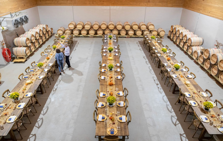 Winter Winemaker's Dinner Tickets | Mountain Brook Vineyards