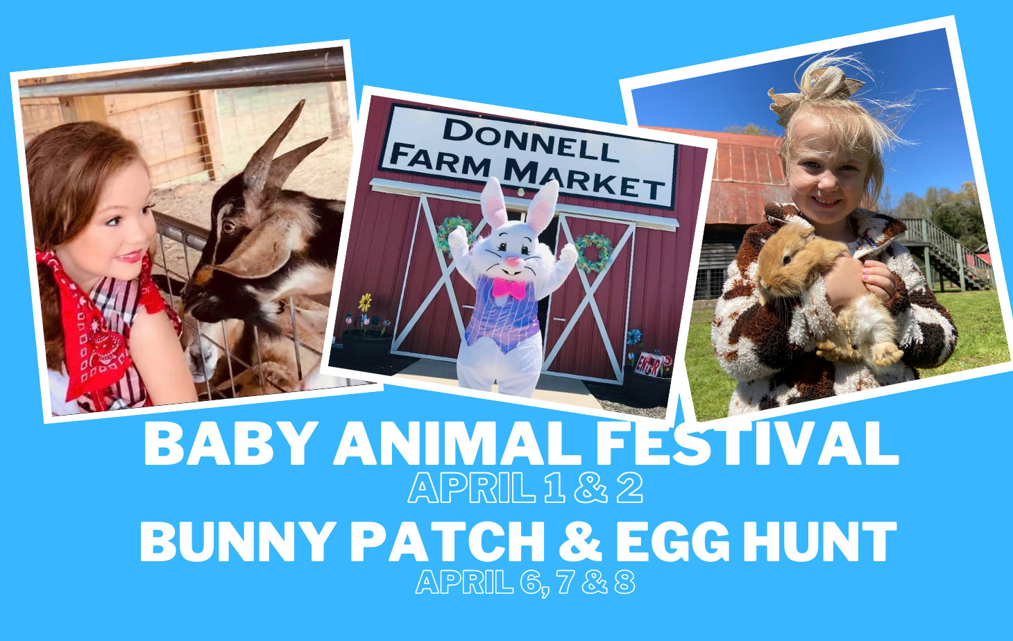 23 Bunny Patch Egg Hunt & Baby Animal Festival Tickets | Donnell ...