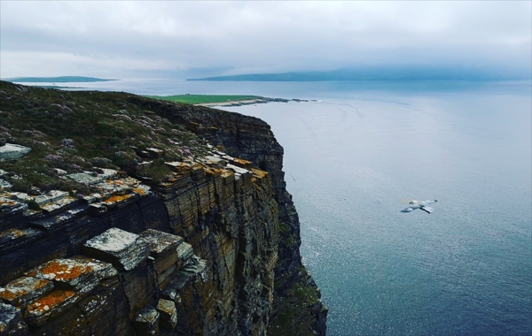 Orkneys Wonders - Coastlines, Nature and Heritage.