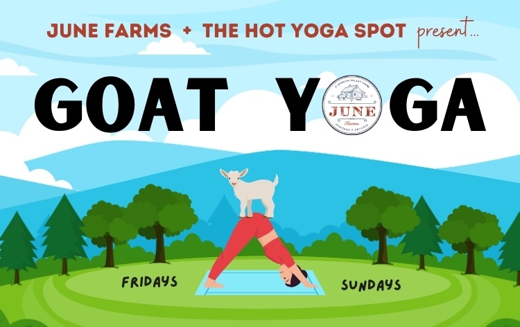 Goat Yoga Tickets | June Farms