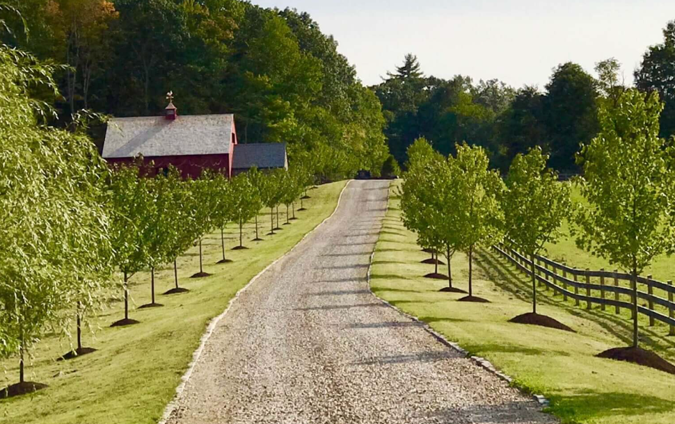 Our Daily Walks Tickets | June Farms