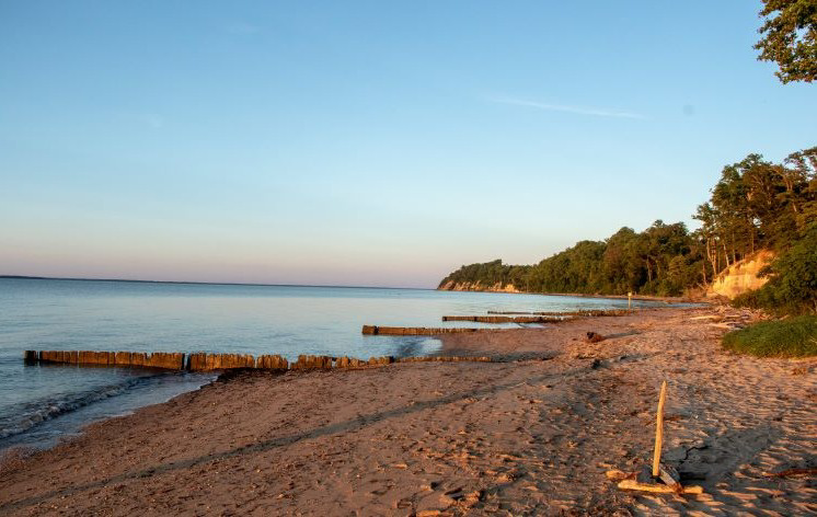 Grounds Pass Admission Ticket