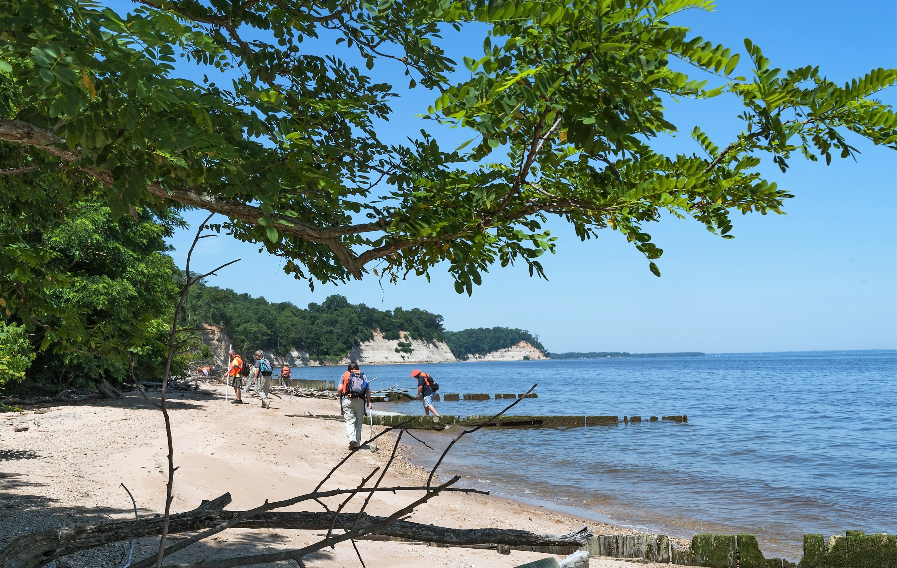 Fossil Hunting Excursion - May 31, 2025 Tickets | Stratford Hall ...