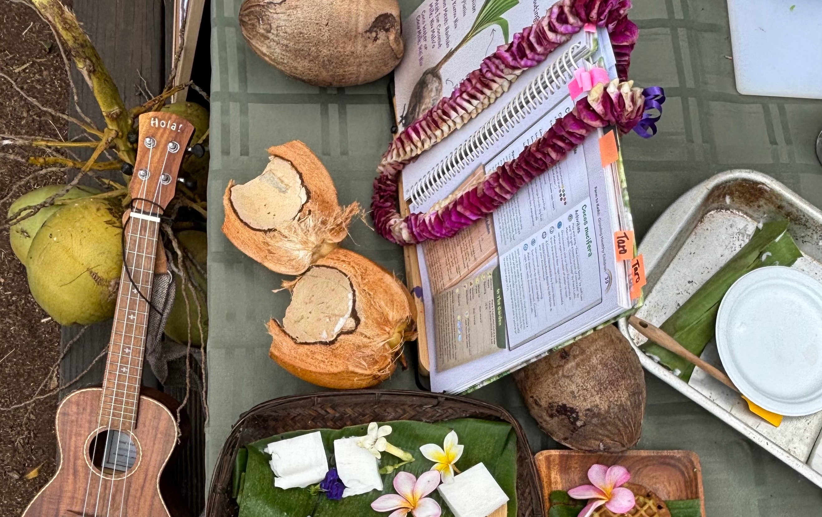 Farm Preschool - February/March Tickets | Keiki and Plow