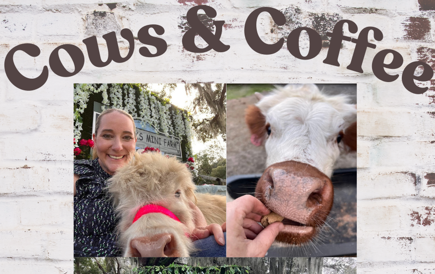 Cows and Coffee Tickets | Big Oaks Mini Farm LLC