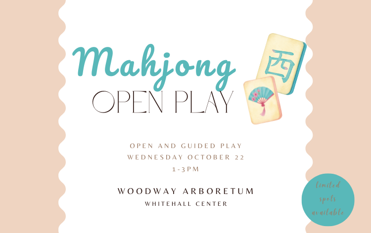 Mahjong Open and Guided Play at Carleen Bright Arboretum - Archived ...
