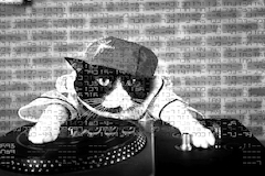 basement rave // 001