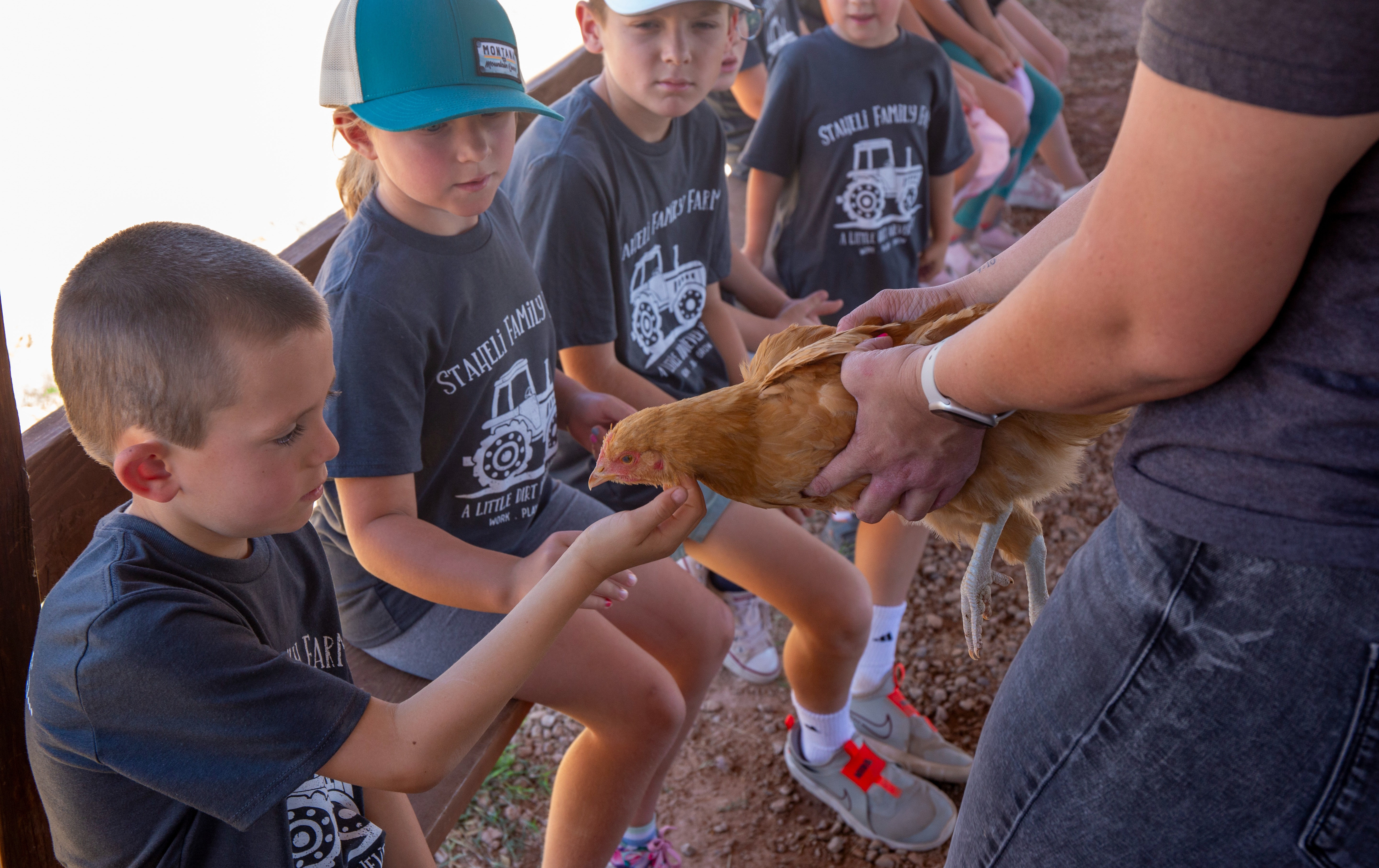 Family Farm Camp 2026 Tickets | Staheli Family Farm