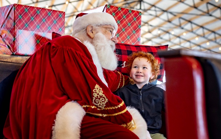 Country Christmas Walk Through Light Show Tickets | Phillips Corn Maze ...