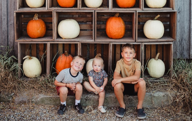 2025 Dull's Pumpkin Harvest Tickets | Dull's Tree Farm
