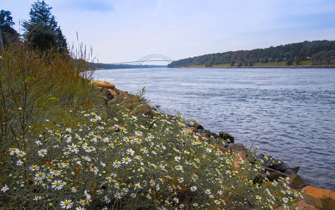 Colors of the Cape Cod Canal Tickets | Cape Cod Museum of Natural History