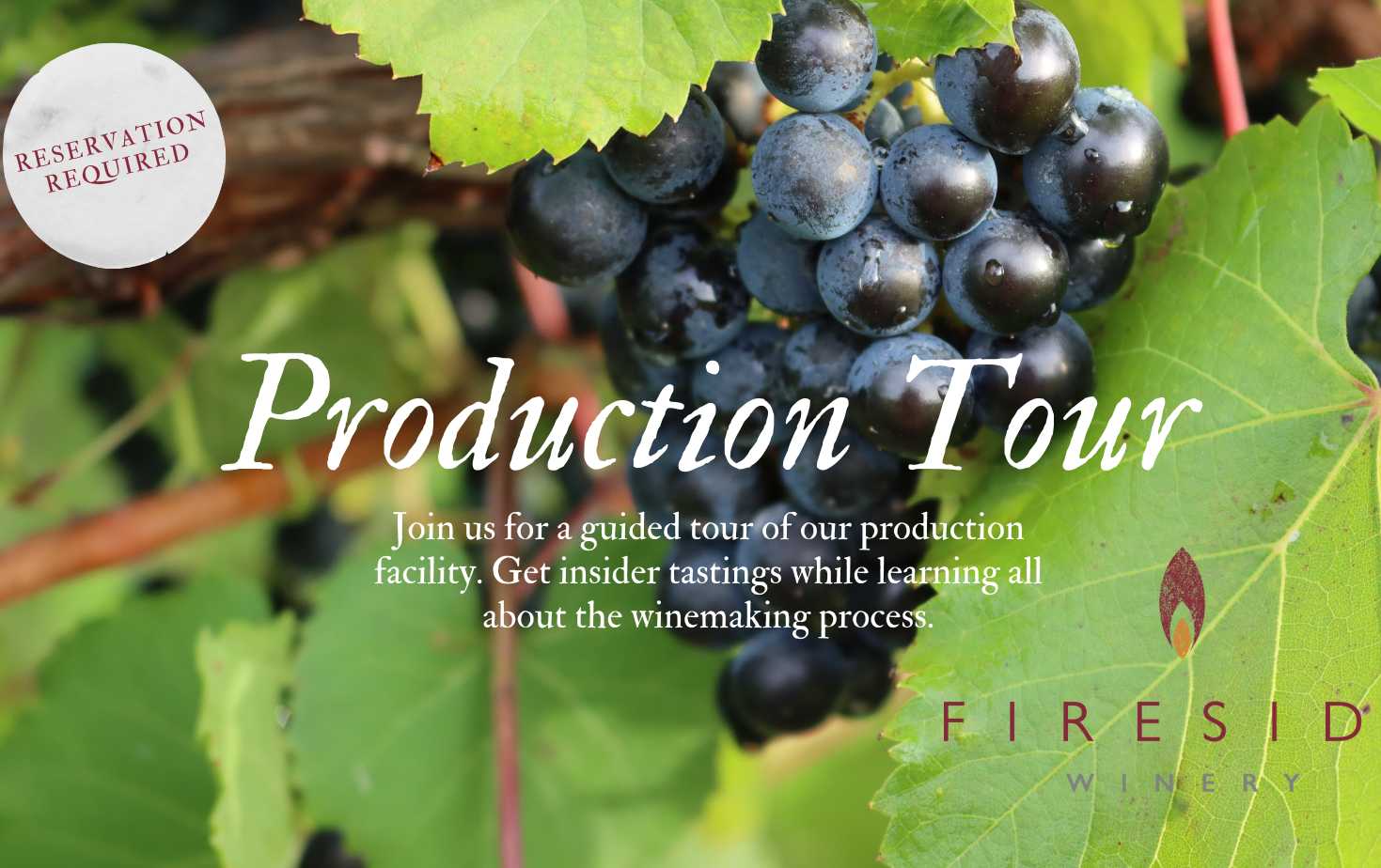 Production Tour - December 13 Tickets | Wilrona LLC