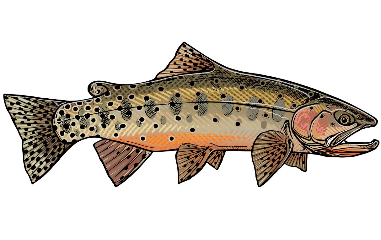 5 Rivers Trout Unlimited presents the 2025 Fly Fishing Film Tour ...