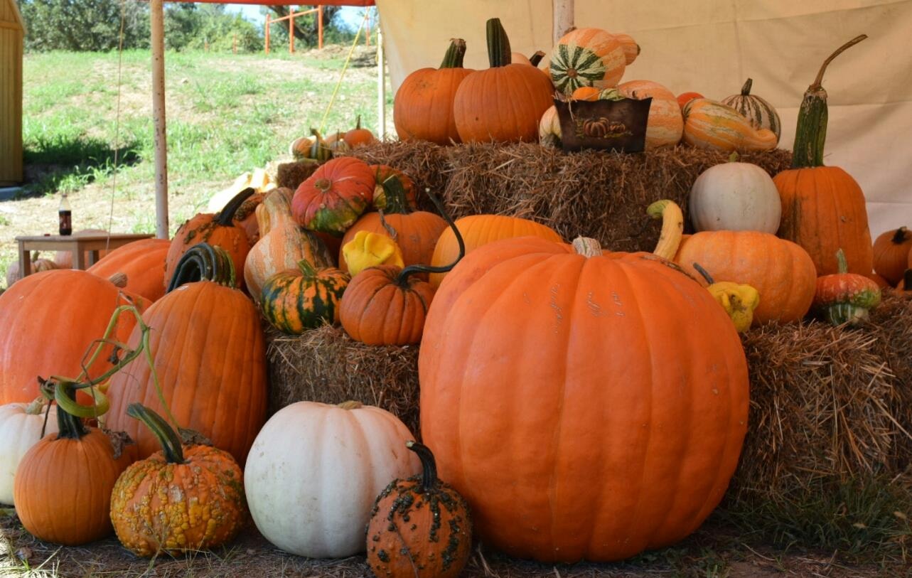 Roberts Farms - General Admission