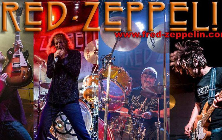Fred Zeppelin | The UK's Best Tribute to Led Zeppelin + Support Band