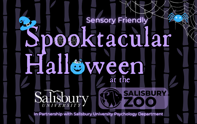 Spooktacular Halloween – A Sensory Friendly Experience at the Salisbury ...