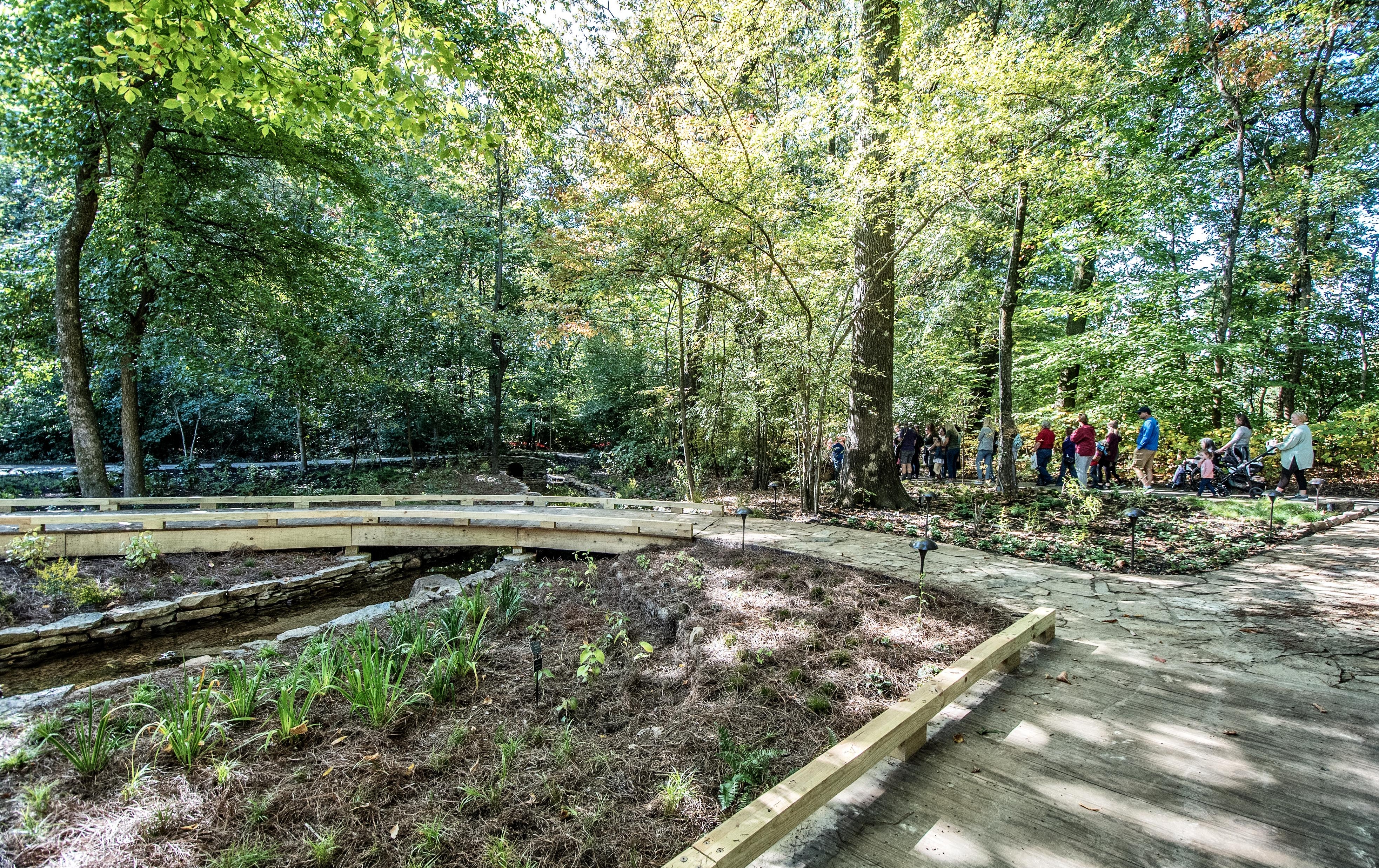 Fall Tree Walk with Anna Vo Tickets | Memphis Botanic Garden